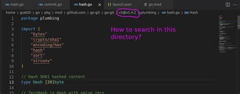 go vscode how to search in installed package stack overflow
