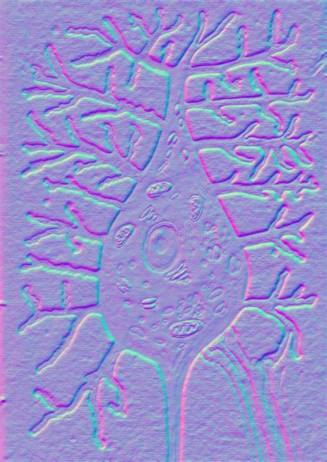 A Motor Neuron Structure Illustration Stock Illustration