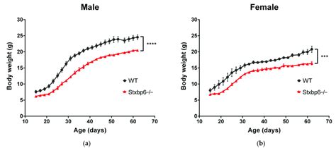 Mouse Weights A Monitoring Of Body Weight Over 7 Weeks In Male Mice