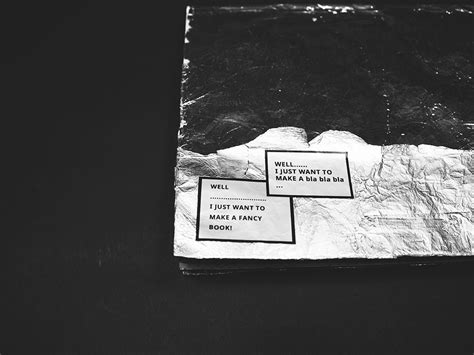 Well I Just Want To Make A Fancy Book 李宜轩 站酷zcool