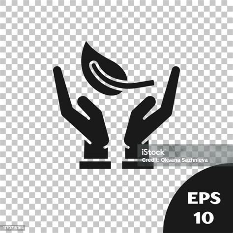 투명 한 배경에 고립 된 환경 보호 아이콘의 손에 검은 새싹 종자 및 묘목 묘목 심기 생태 개념 벡터 일러스트레이션 개념에 대한