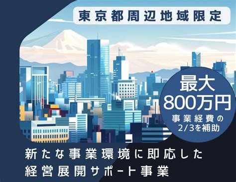 【800万円補助】既存事業にも使える2024年注目の補助金！「新たな事業環境に即応した経営展開サポート事業」