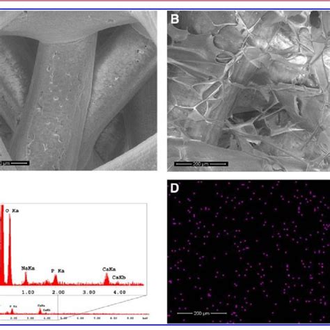 Quantification Of Dsdna In Cellular Scaffolds By Picogreen Assay On