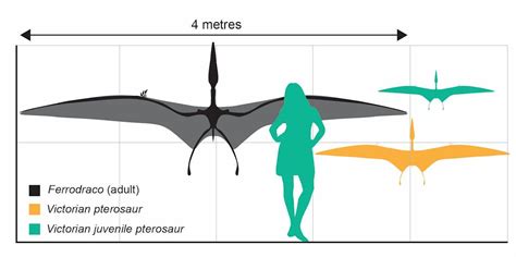 These Magnificent 107 Million Year Old Pterosaur Bones Are The Oldest