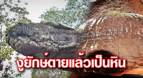 โปรแกรมทัวร์ถ้ำนาคา ภูทอก จุดชมวิวหินสามวาฬ บึงโขงหลง วัดถ้ำชัยมงคล ศาล