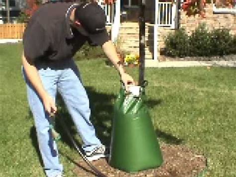 How To Use Tree Watering Bags Up Gardening