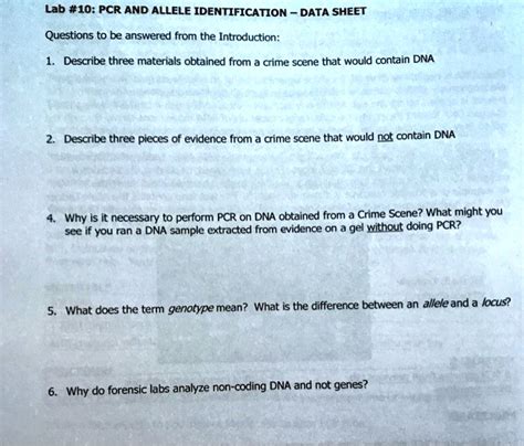 SOLVED Lab 10 PCR AND ALLELE IDENTIFICATION DATA SHEET Questions To