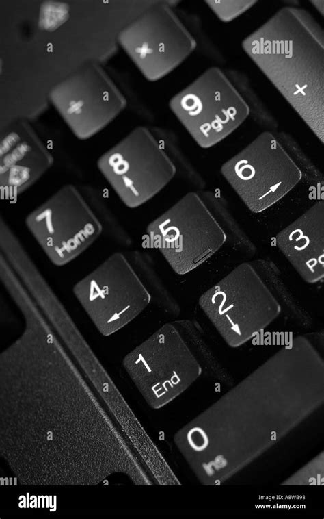 Data Input Computer Internet Keyboard Qwerty Numerical Frustration Escape Esc Lock Up Shutdown