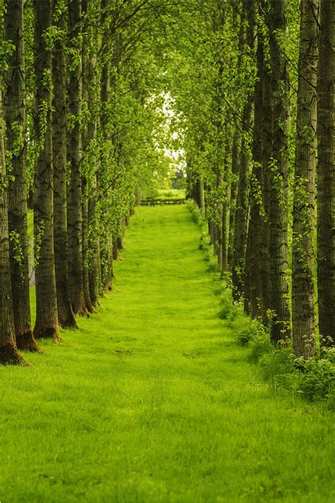 Exploring Wild Nature With Mary Jane Curry Jasna North Carolina