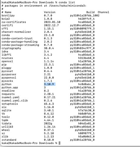 Conda创建python虚拟环境 爱家家的卡卡 博客园