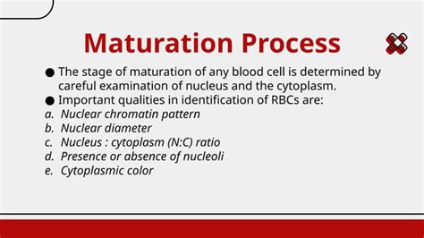 A Presentation In Erythrocyte Maturationpptx