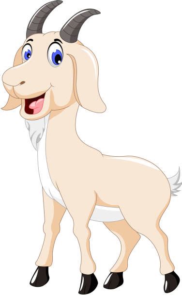 Best Smiling Goat Illustrations Royalty Free Vector Graphics And Clip