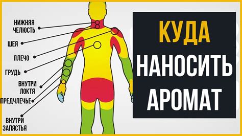 Как Правильно Носить Аромат Как Использовать Духи Youtube