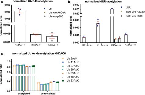 Acetylation And Deacetylation Of Ub Ub Ack Variants By P300 And Download Scientific Diagram