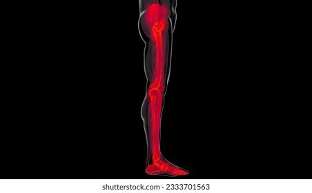 Human Body Part Photos Photos And Images Shutterstock