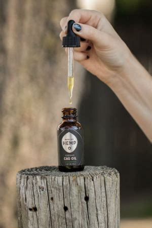 Qué es el CBD y qué puede hacer por tu salud El Cosmonauta