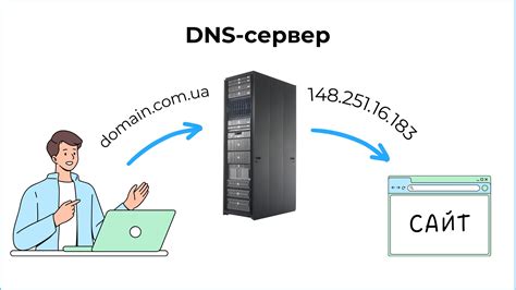 Что такое DNS как работает DNS сервер и как прописать NS серверы