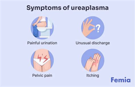 Ureaplasma In Females Symptoms Diagnosis And Partner Transmission