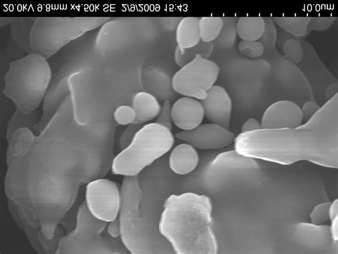 Sem Micrograph Of An Unreinforced Aluminium Alloy Slika 2 Sem Posnetek