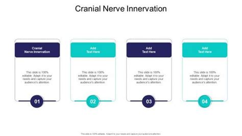 Cranial Nerve PowerPoint Presentation And Slides PPT Example SlideTeam