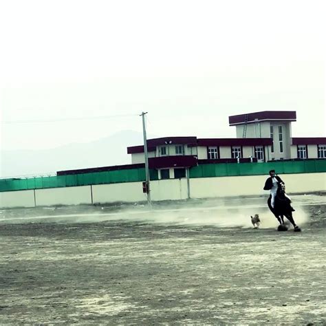 اسپ سواری Youtube