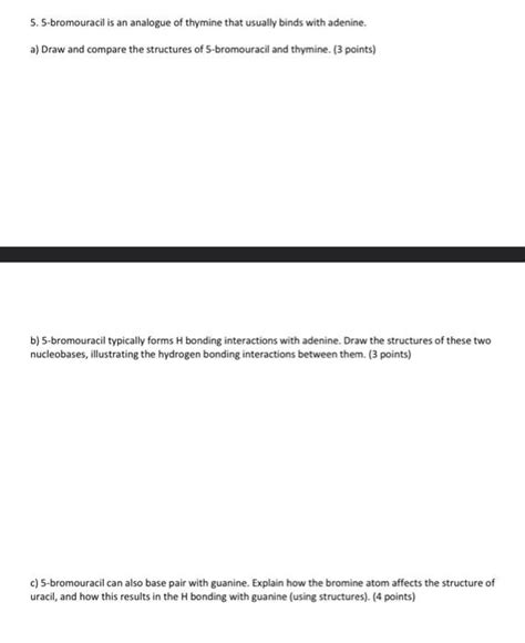 Solved 5 5 Bromouracil Is An Analogue Of Thymine That