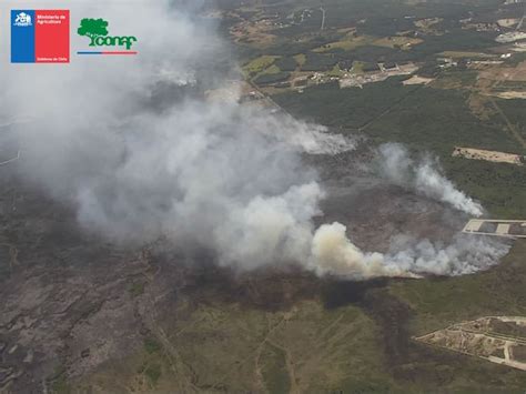 Incendio Forestal En Puerto Montt Autoridades Mantienen Alerta Roja