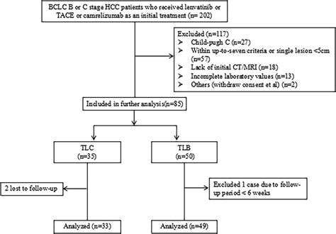 A Total Of 202 Patients Received Tace Or Lenvatinib Or Camrelizumab As Download Scientific