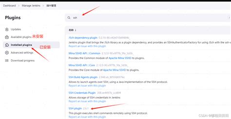 容器化部署 jenkins，并配置ssh远程操作服务器 jenkins ssh csdn博客