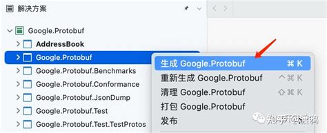 Unity 集成 Protobuf（proto 转 Cs 插件及序列化与反序列化） 知乎