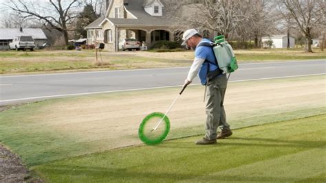 Gci Turf Edge Buddy Gci Turf Academy