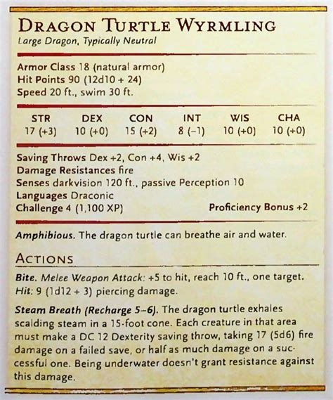 Dragon Turtle Wyrmling Desafíos Idiomas Velocidad