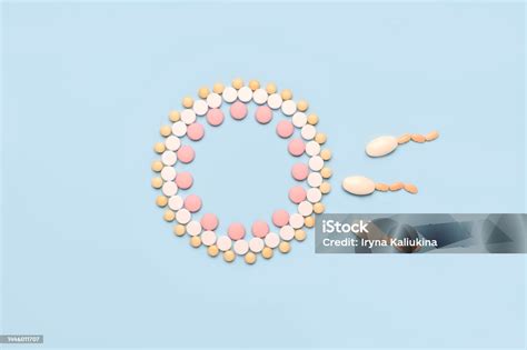 The Concept Of Pregnancy Fertilization Of The Egg Artificial