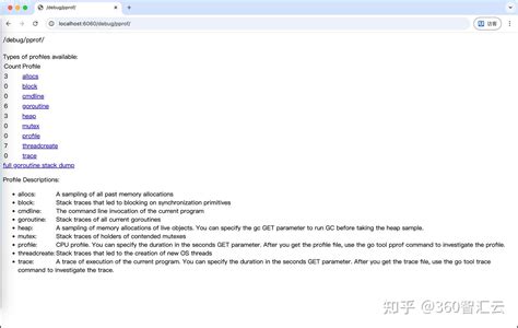Go 性能分析利器pprof 工具实战指南 知乎