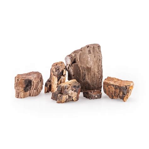 1kg Skała Kamień do Akwarium Skamieniałe Drewno 5904555131057 Cena
