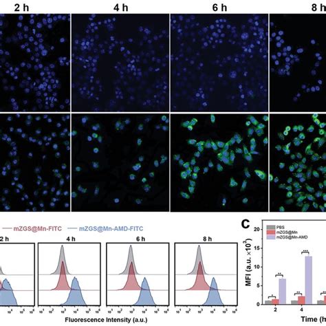In Vitro Specific Targeting Property Of The Nanoprobe A Confocal Download Scientific Diagram