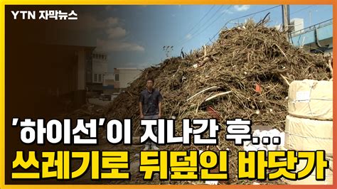 자막뉴스 하이선이 휩쓸고 간 후쓰레기로 뒤덮인 바닷가 Ytn