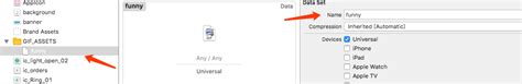 Ios Get Data From Xcasset Catalog Stack Overflow