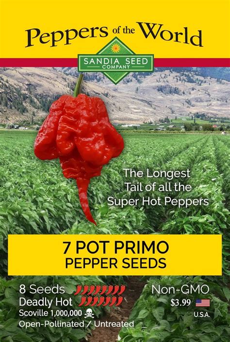 New Hot Pepper Seeds For 2019 Sandia Seed Company Hot Pepper Seeds