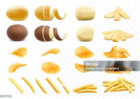 감자 생 얇게 썬 감자 감자 튀김 칩 세트 감자 야채 제품 잘게 썬 것 껍질을 벗기지 않은 감자 및 껍질을 벗긴 감자 껍질을 벗긴 반쯤 껍질을 벗긴 감자 사실적인 3d 벡터