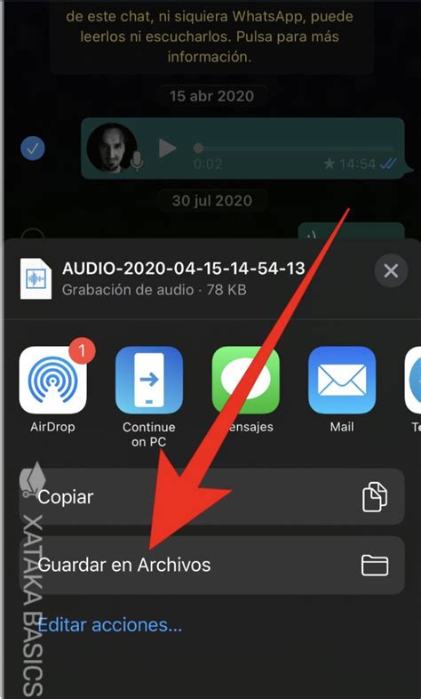 Cómo Descargar Y Guardar Audios De Whatsapp 【 MÉtodos Y Pasos 】 ¡guía
