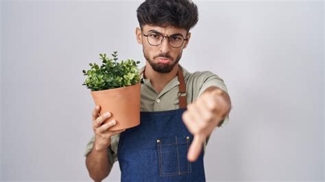 Plantas Que Dan Mala Suerte Según El Feng Shui Guía Completa Y