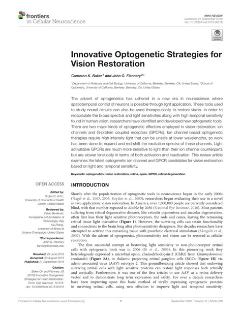 Pdf Innovative Optogenetic Strategies For Vision Restoration
