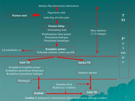 Ppt Tb Dots And Istc Pada Pasien Anak Powerpoint Presentation Id 4108358