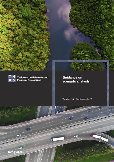 Guidance On Scenario Analysis Altiorem