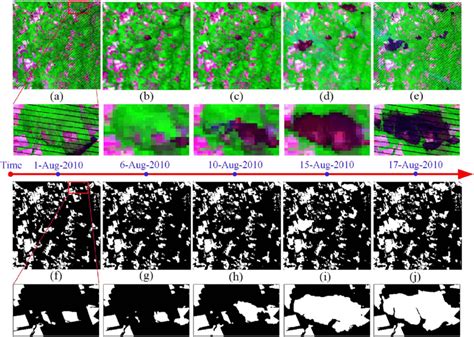 Time Series Landsat And Modis Multispectral Images And Forest Maps A