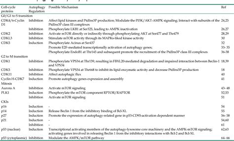 Table 1 From Selective Autophagy Regulates Cell Cycle In Cancer Therapy