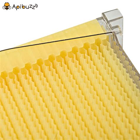 Chinese Auto Flow Beehive Kit 7 Frame Flow Hive Frames And Beekeeping