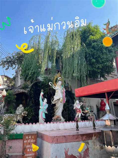 หายป่วย หายโสด ศาลเจ้าหลีตีเมี้ยว แกลเลอรีที่โพสต์โดย ปลายหนายย Lemon8