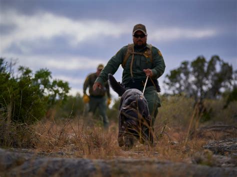 Eu Mandará Mil 500 Militares A La Frontera Con México Para Apoyar La